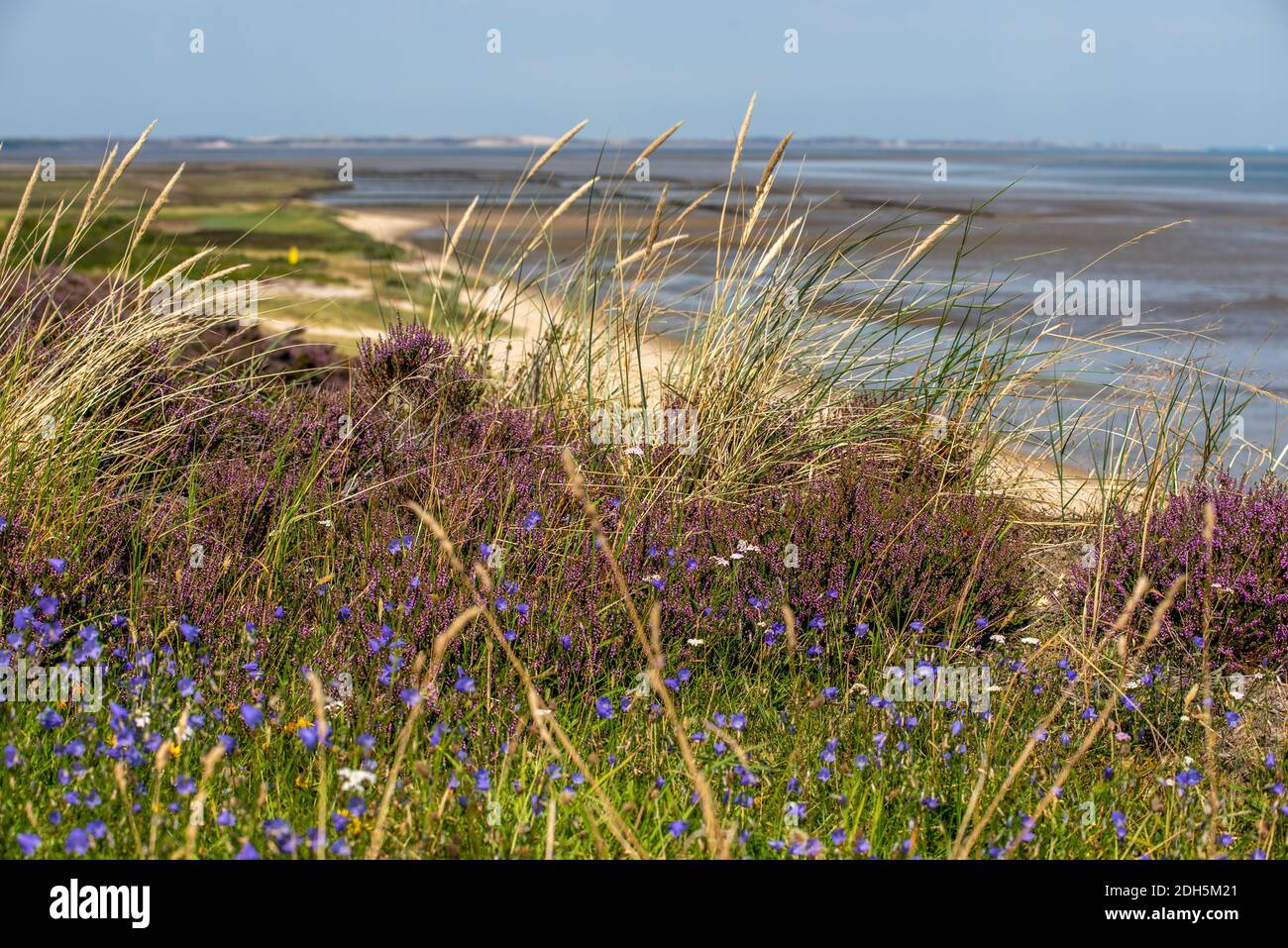 Dream landscape hi-res stock photography and images - Alamy