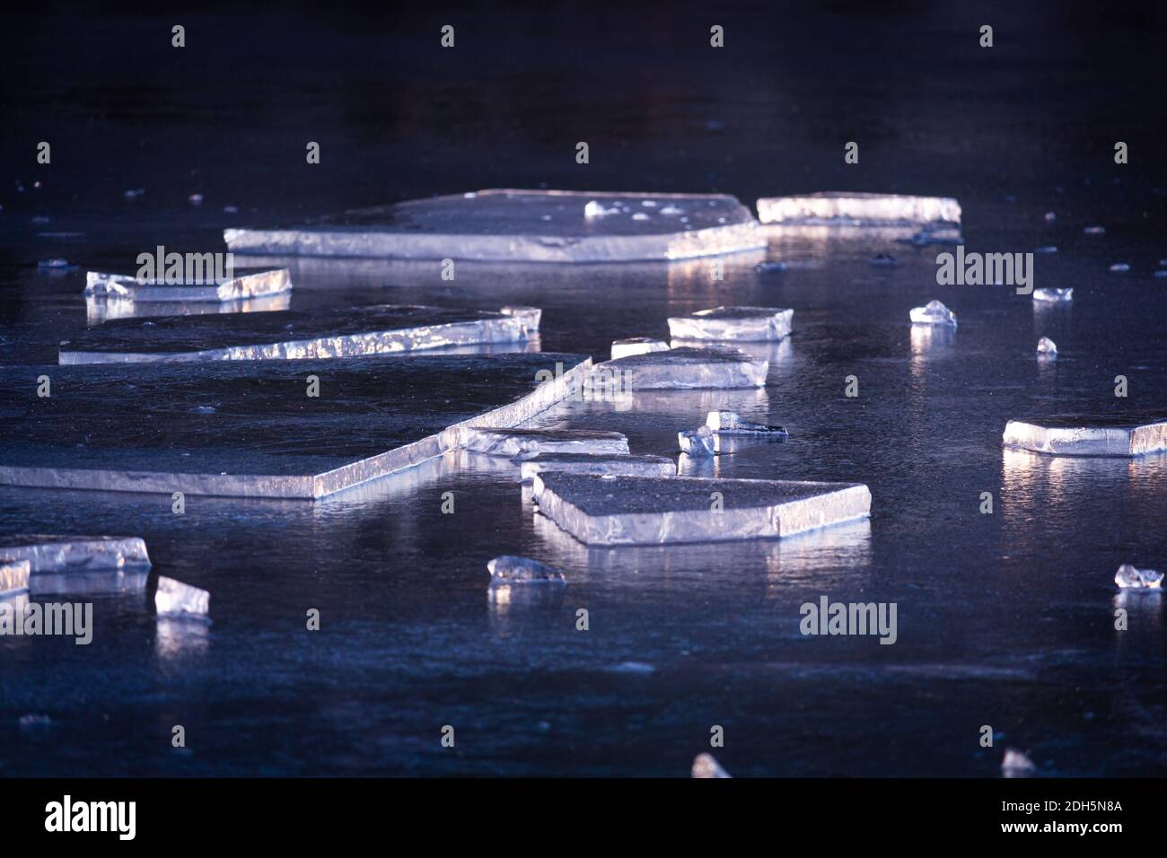 Transition and nature hi-res stock photography and images - Alamy