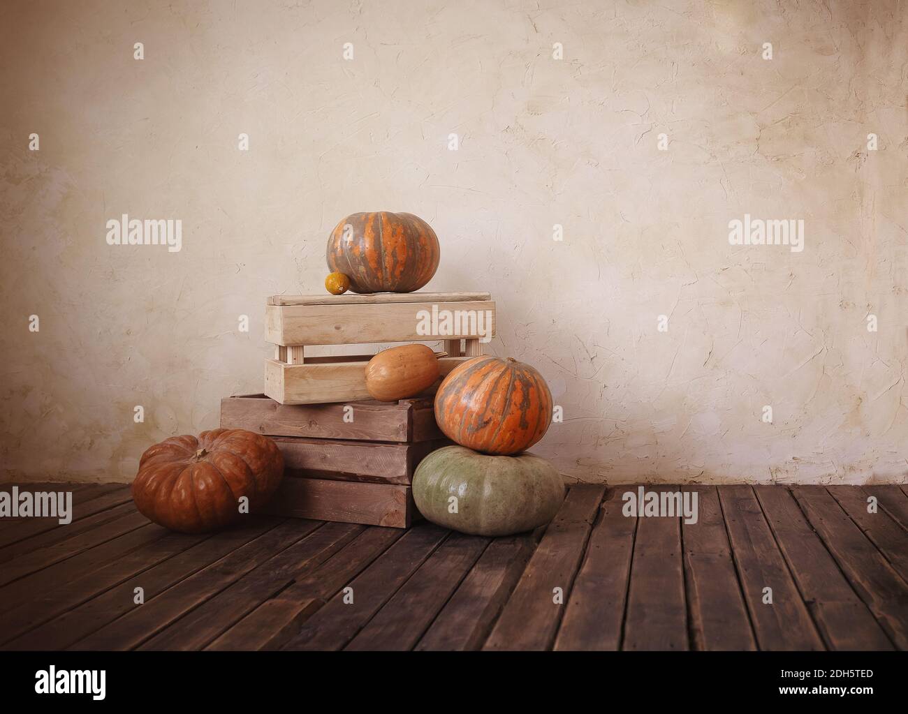 Fresh pumpkins on wooden floor Stock Photo - Alamy
