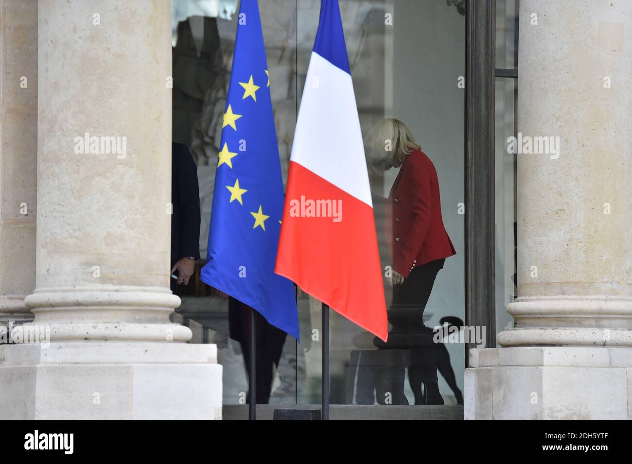 Nemo, adopted dog from French presidential couple, Emmanuel Macron and ...