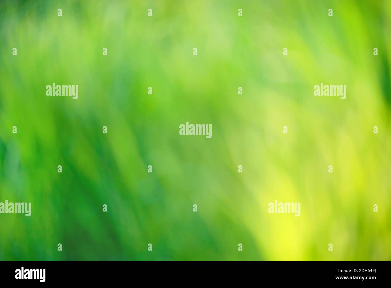 Emerald green color hi-res stock photography and images - Alamy