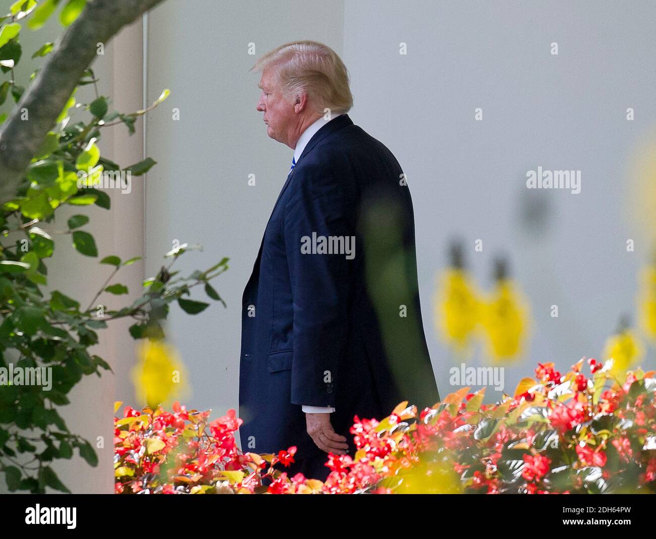 United States President Donald J. Trump walks across the South Lawn of ...