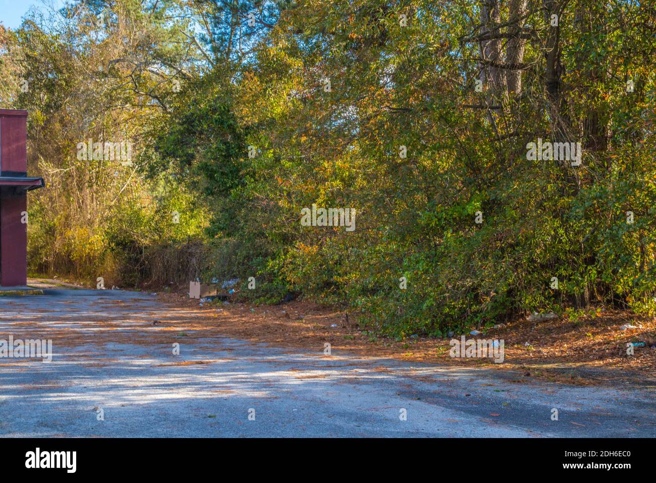 Trash discarded in a bush area by buildings in Augusta Ga USA Stock ...