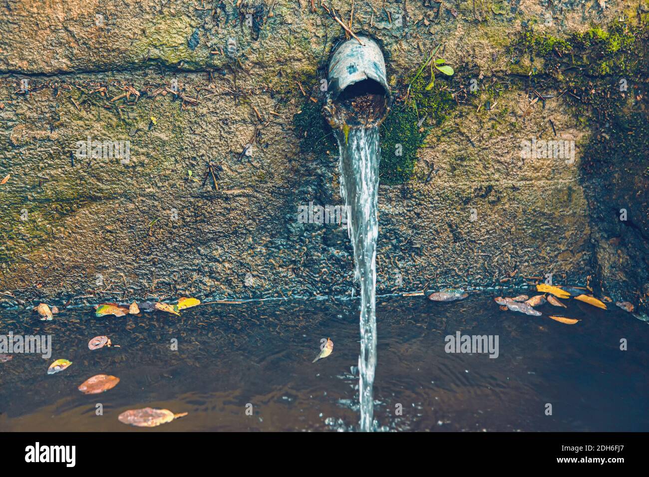 Natural source of drinking water Stock Photo - Alamy