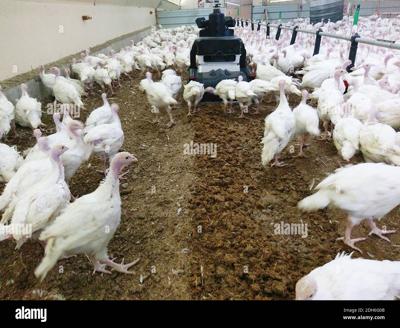 HANDOUT PHOTO. Octopus Robots, the first AgTech to enter the Paris ...