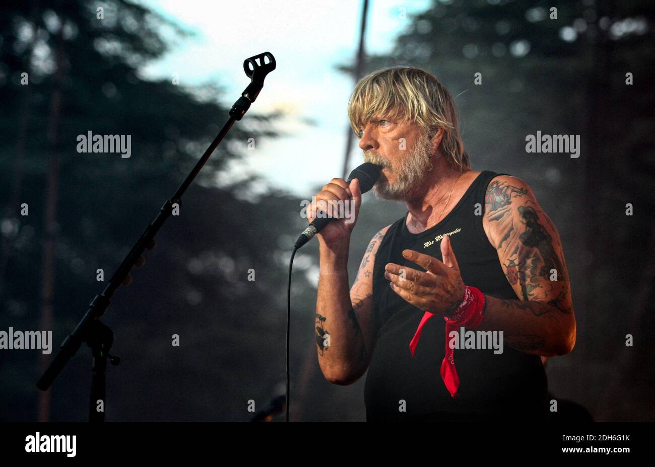 French singer Renaud Sechan, better known as Renaud, performs during ...