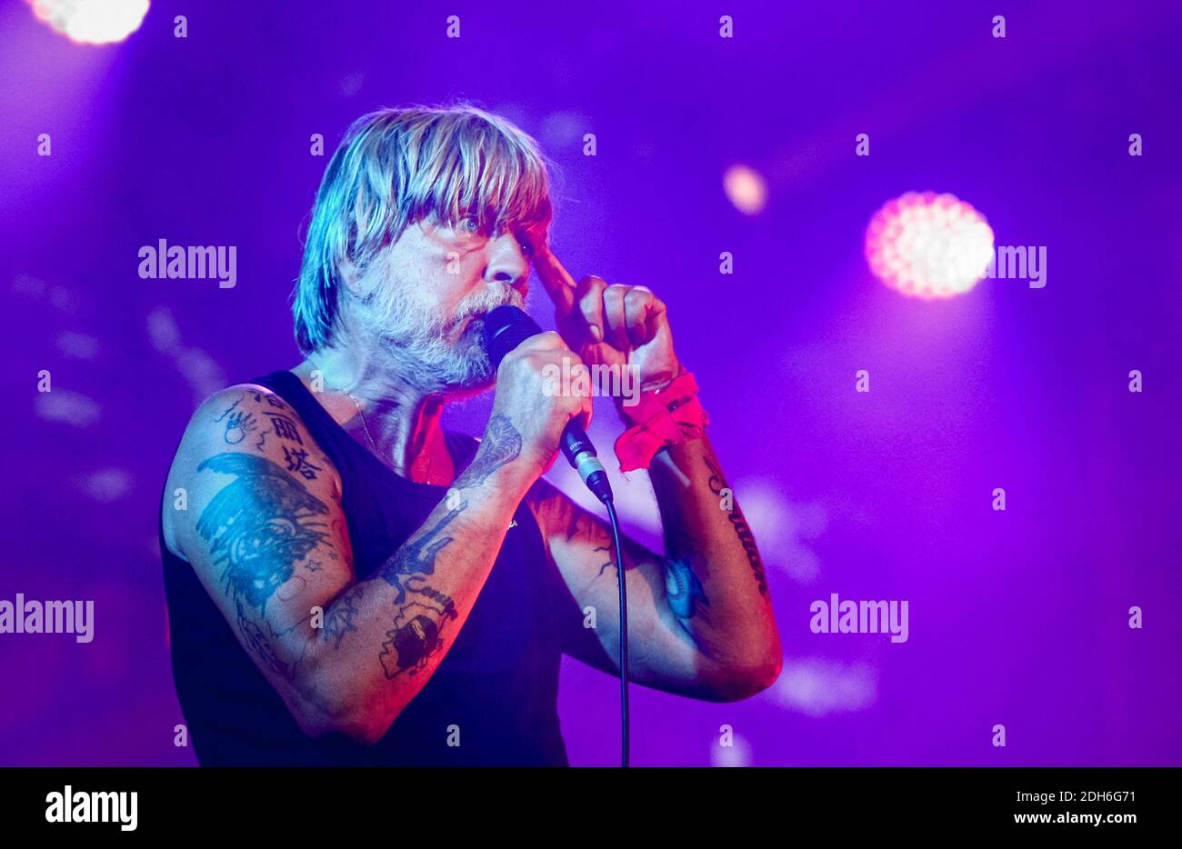 French singer Renaud Sechan, better known as Renaud, performs during ...