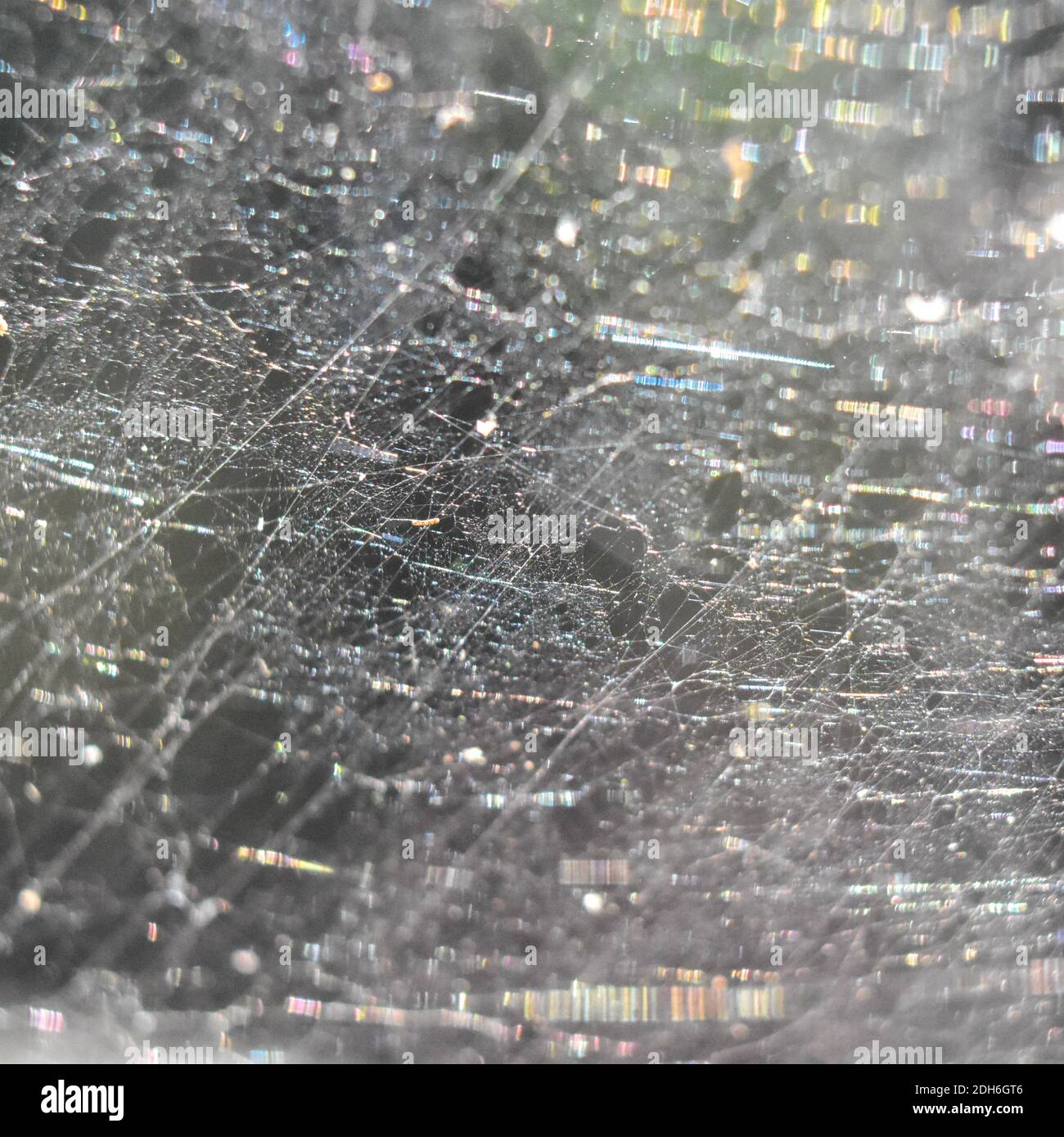 Ripple web hi-res stock photography and images - Alamy