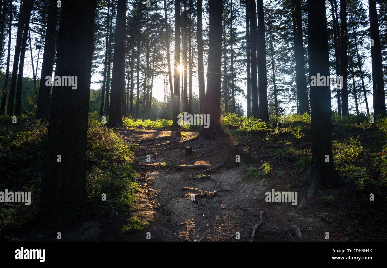 Hiking path in sunset hi-res stock photography and images - Alamy