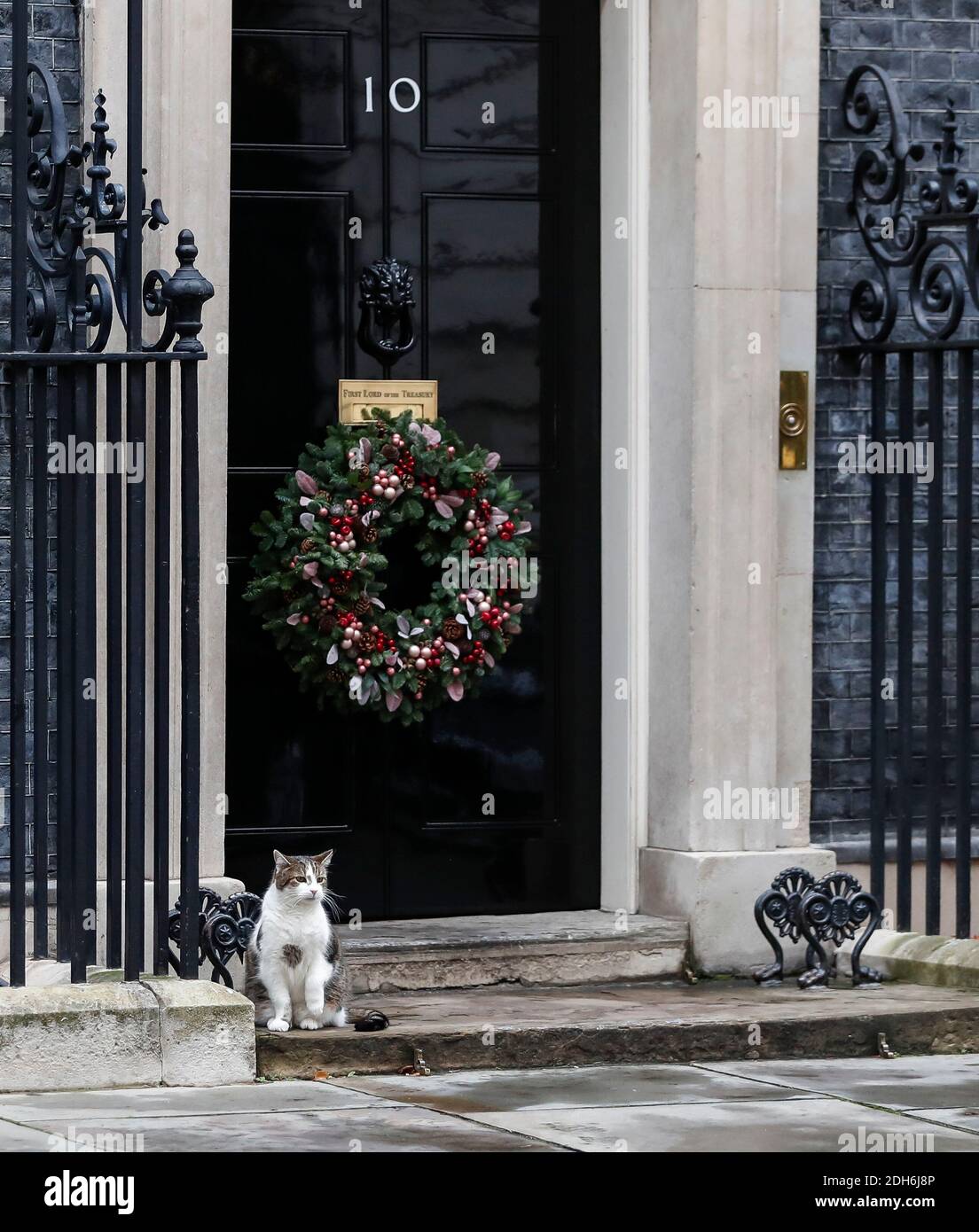 London, Britain. 9th Dec, 2020. Larry, a cat dubbed Chief Mouser to the ...