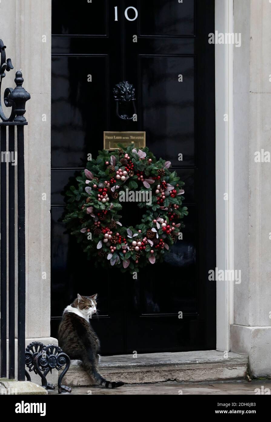 London, Britain. 9th Dec, 2020. Larry, a cat dubbed Chief Mouser to the ...