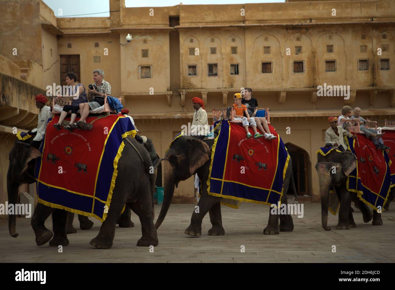 Elephant rides at Amer Fort, Rajasthan, India Stock Photo - Alamy