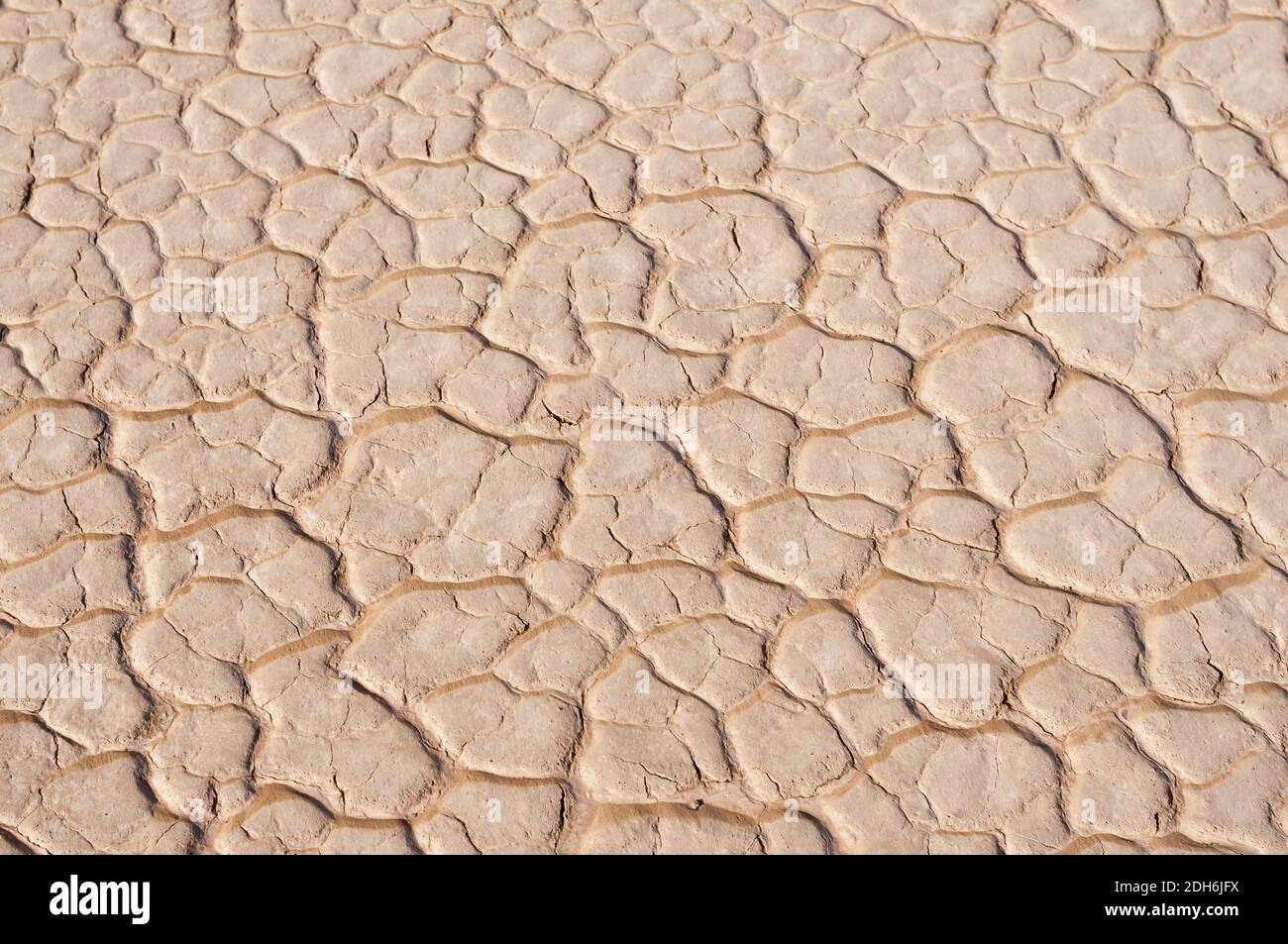 Parched soil hi-res stock photography and images - Alamy