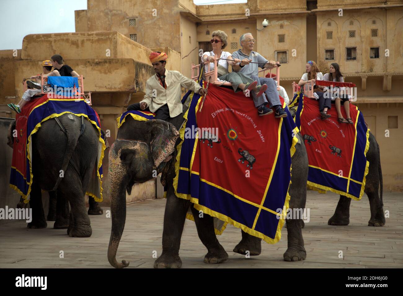 Elephant rides at Amer Fort, Rajasthan, India Stock Photo - Alamy