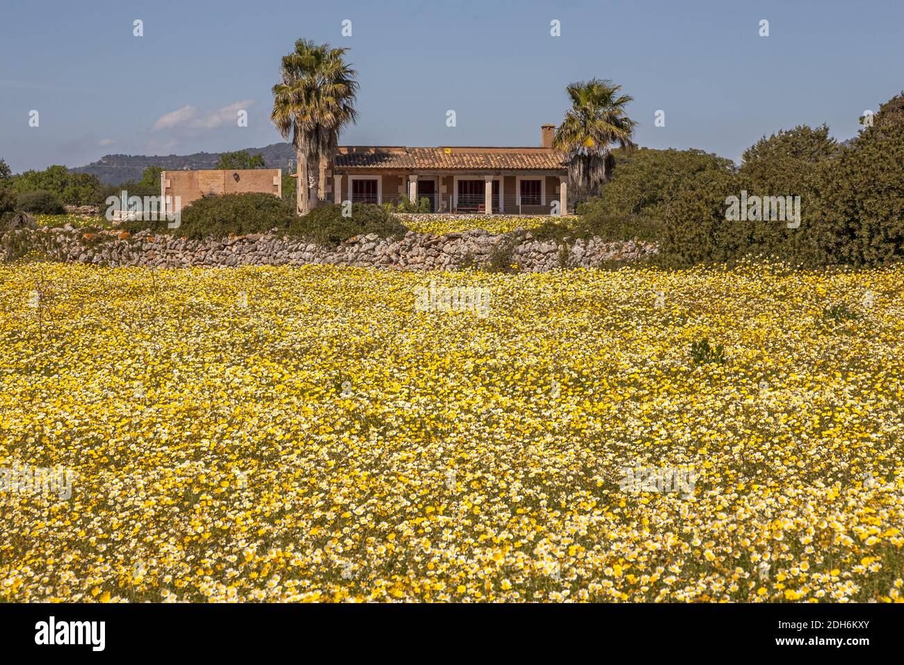 Spring in Mallorca Stock Photo - Alamy