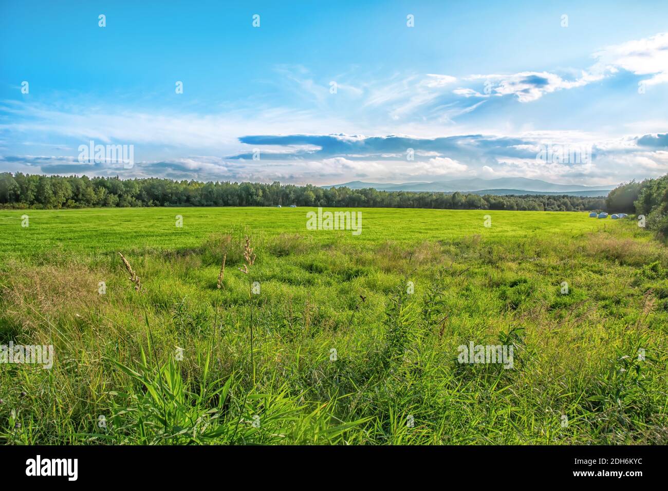 Photo realistic hi-res stock photography and images - Alamy