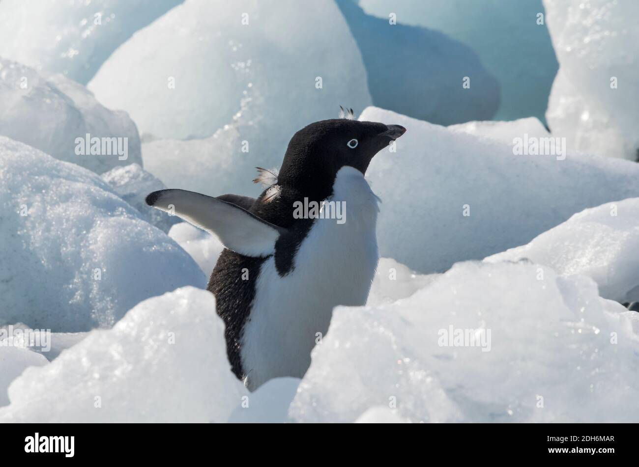 Pleneau islands hi-res stock photography and images - Alamy