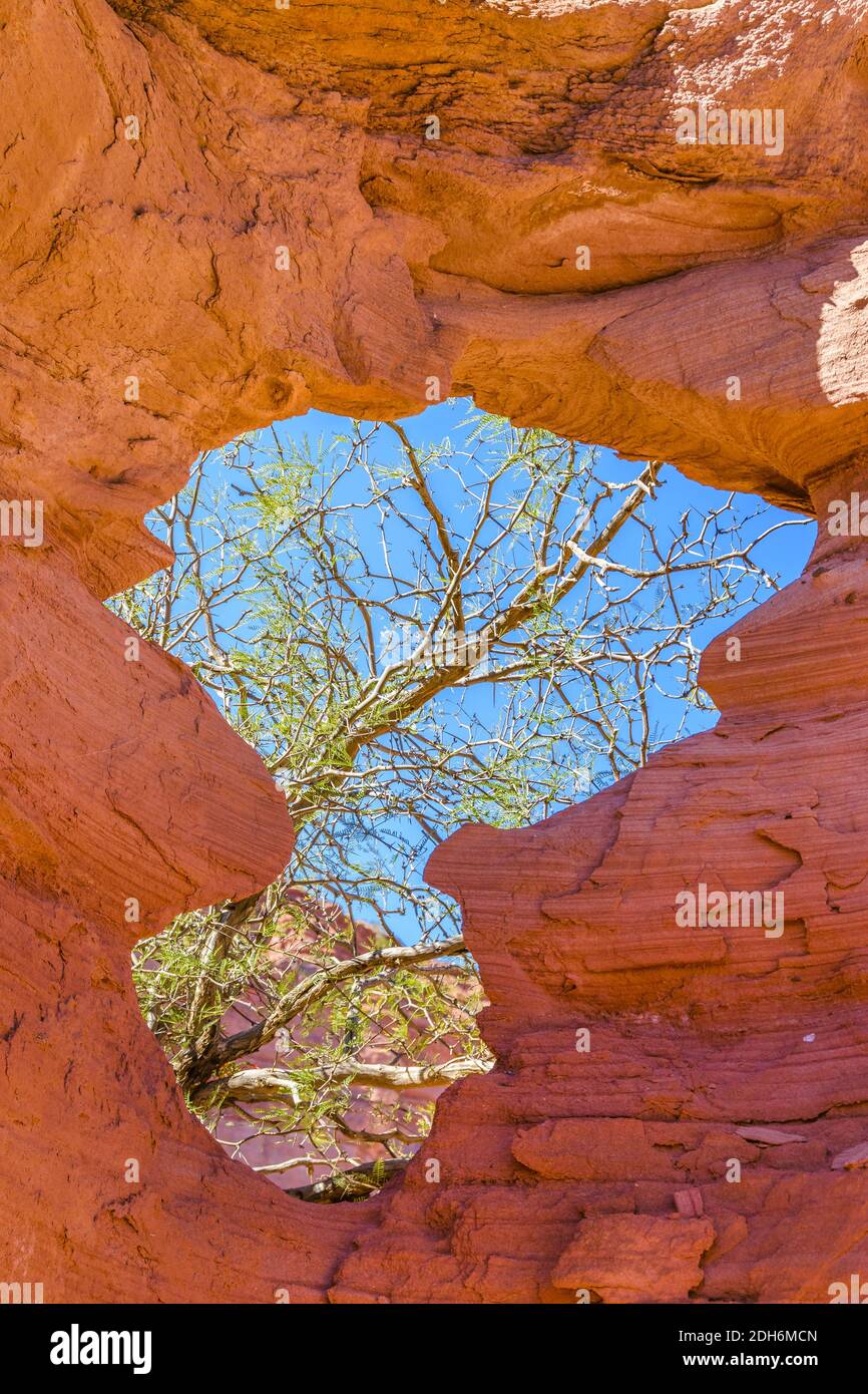 Talampaya National Park, La Rioja, Argentina Stock Photo - Alamy