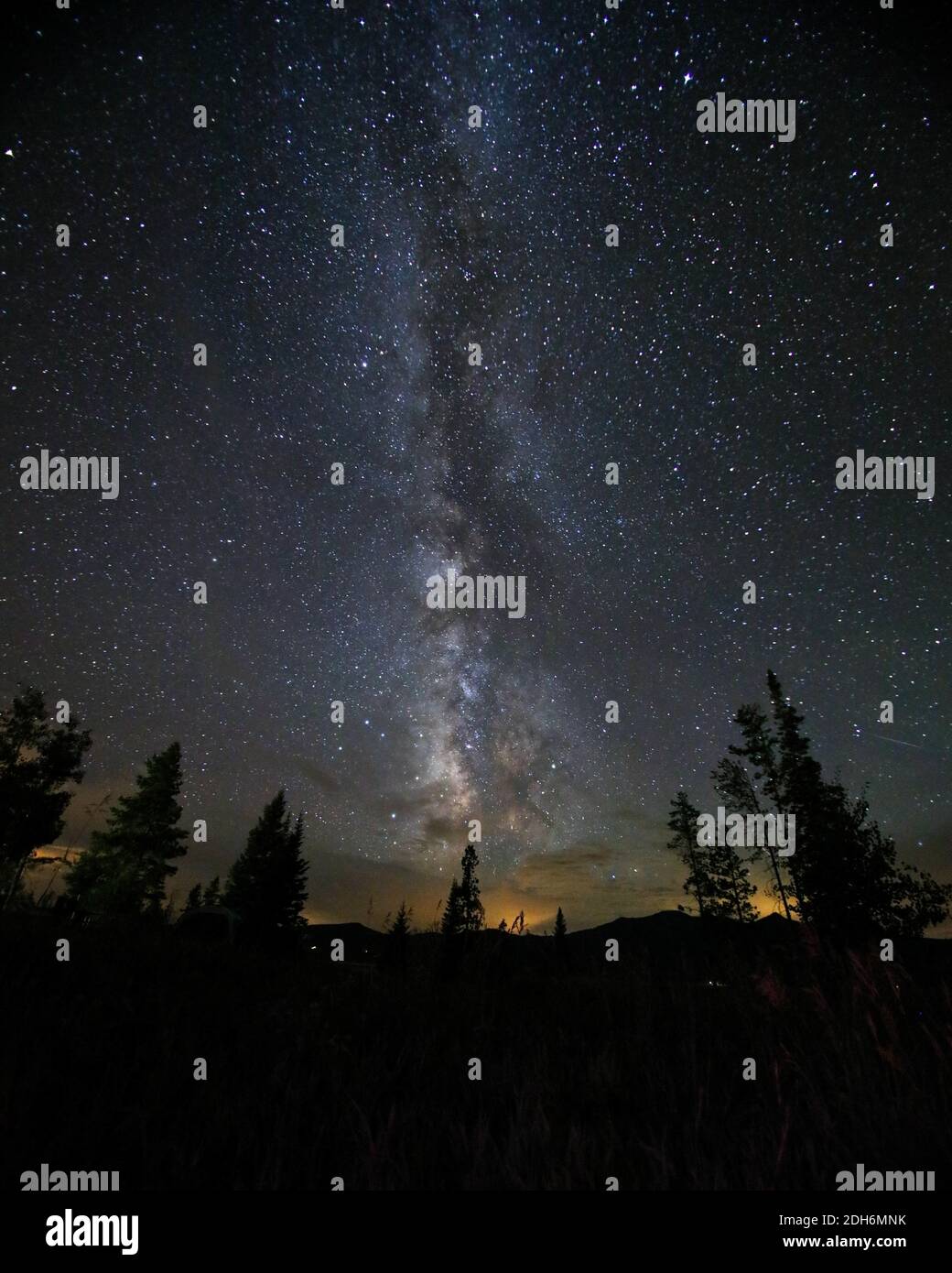 A mesmerizing shot of the Milky Way on the starry sky above the forest ...