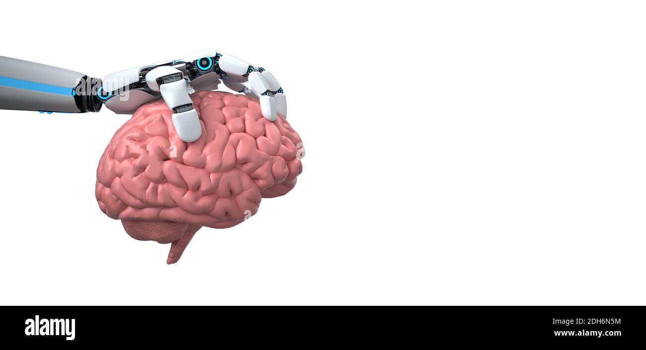 Humanoid Robot Hand Human Brain Stock Photo - Alamy Humanoid Robot Hand Human Brain Stock Photo - Alamy