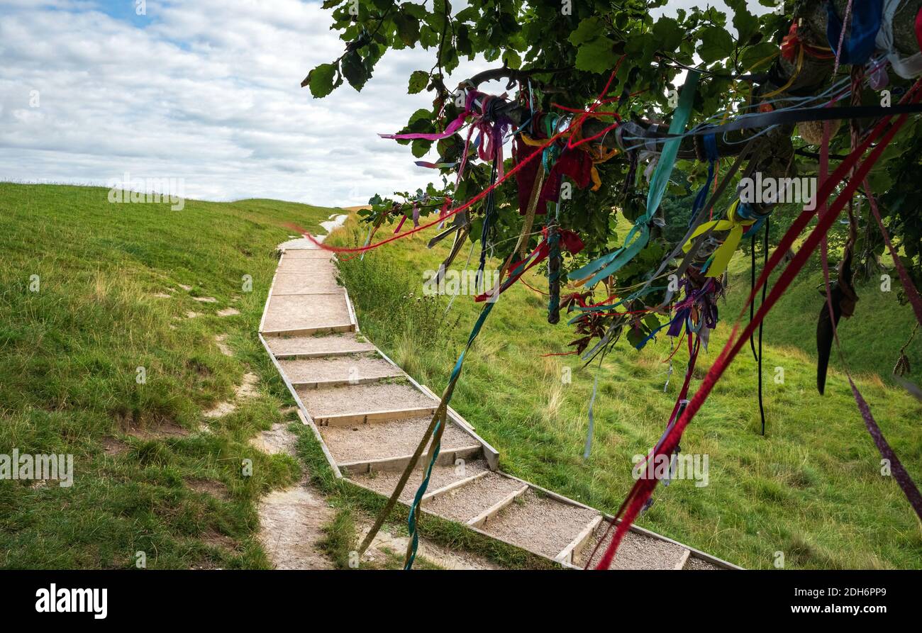 Avebury ribbon tree hi-res stock photography and images - Alamy