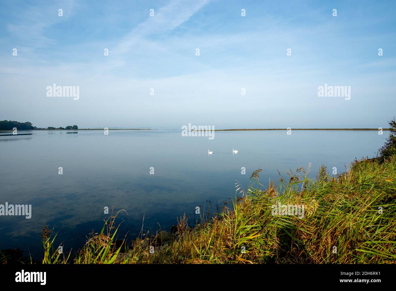 Baltic Sea shore Stock Photo - Alamy