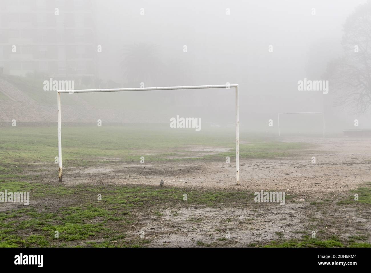 Muddy Empty Soccer Field, Montevideo, Uruguay Stock Photo - Alamy