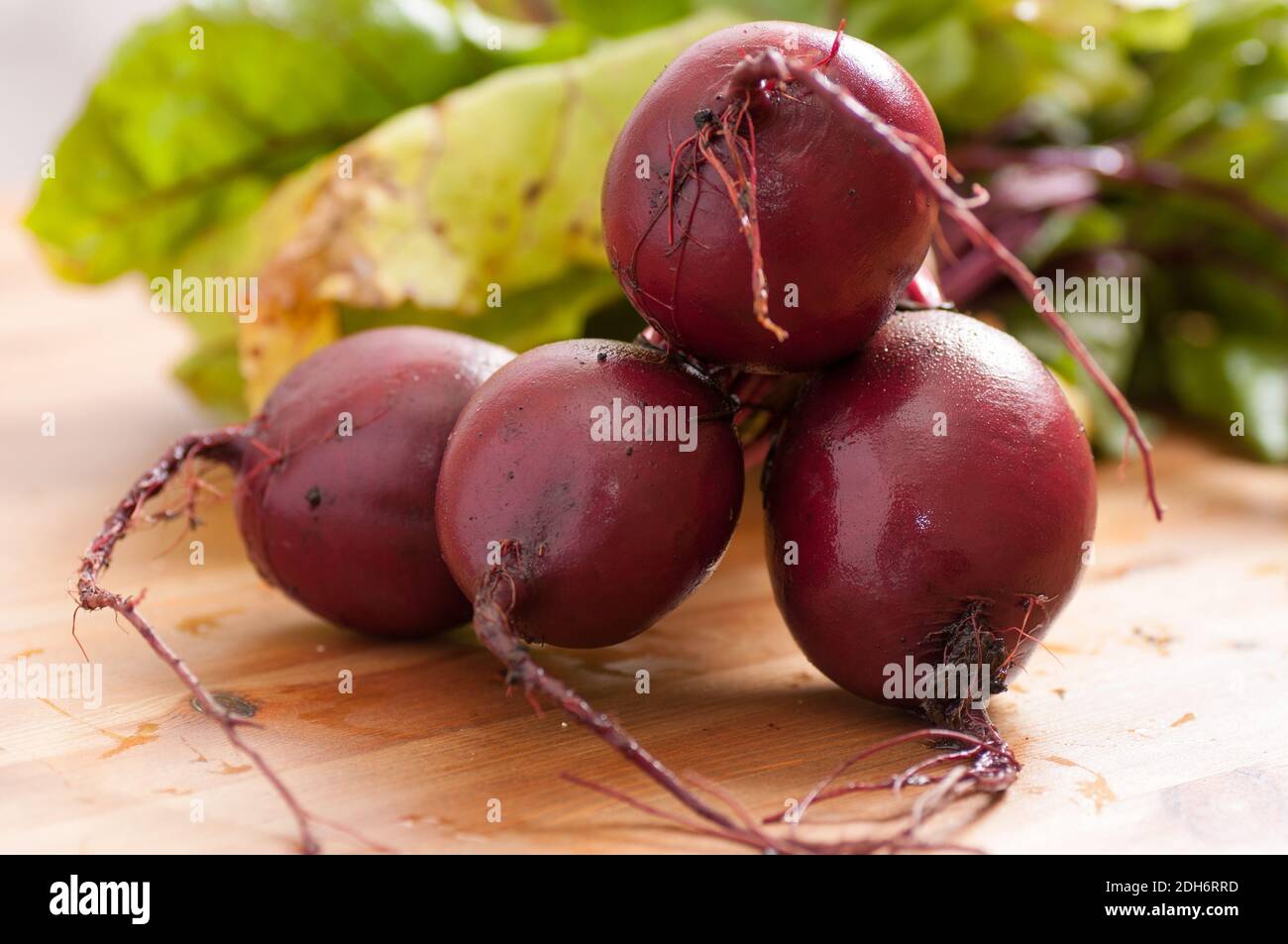 farm picked healthy organic red sugar beets Stock Photo - Alamy