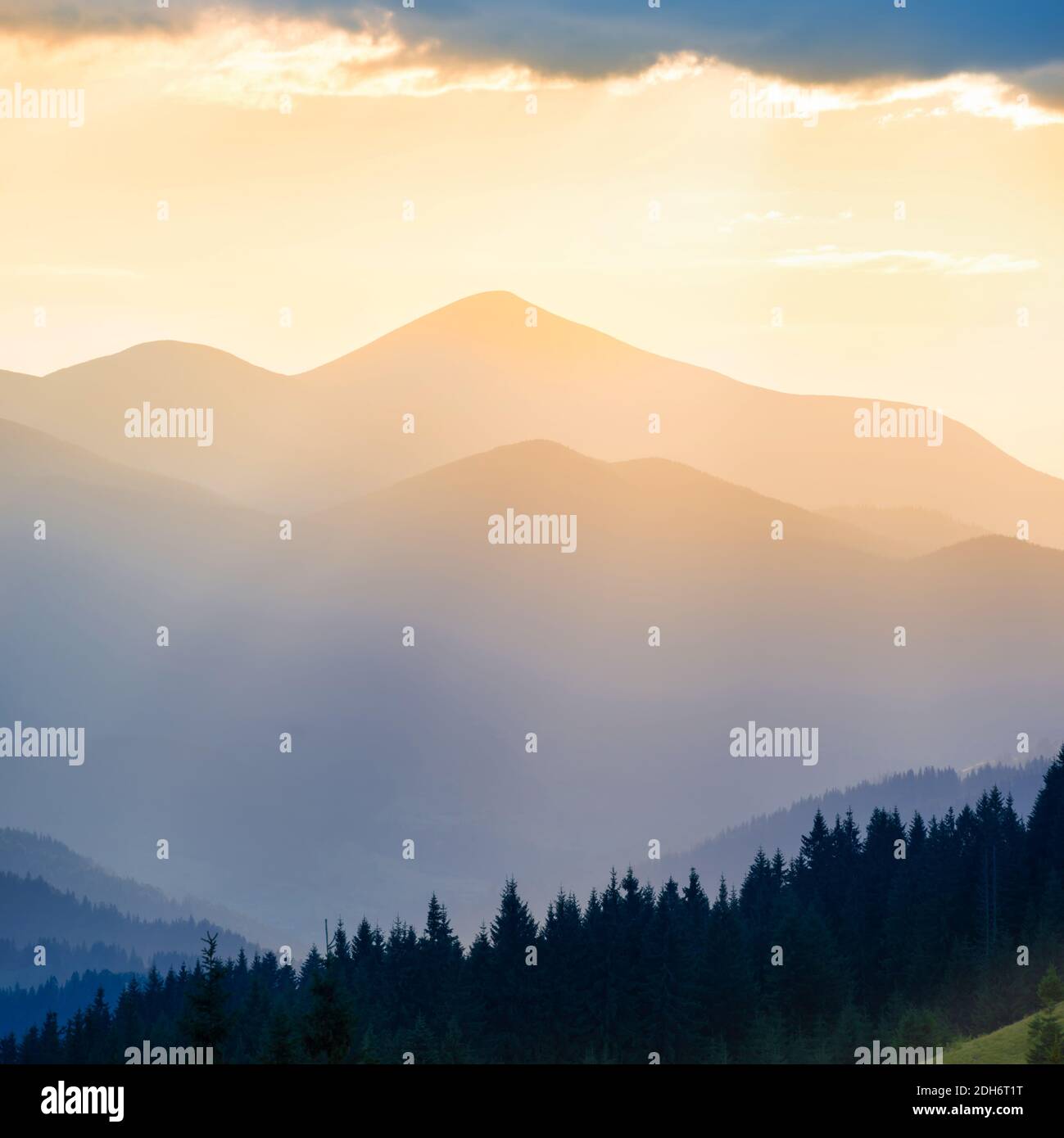Beautiful vision and beautiful scenery hi-res stock photography and ...