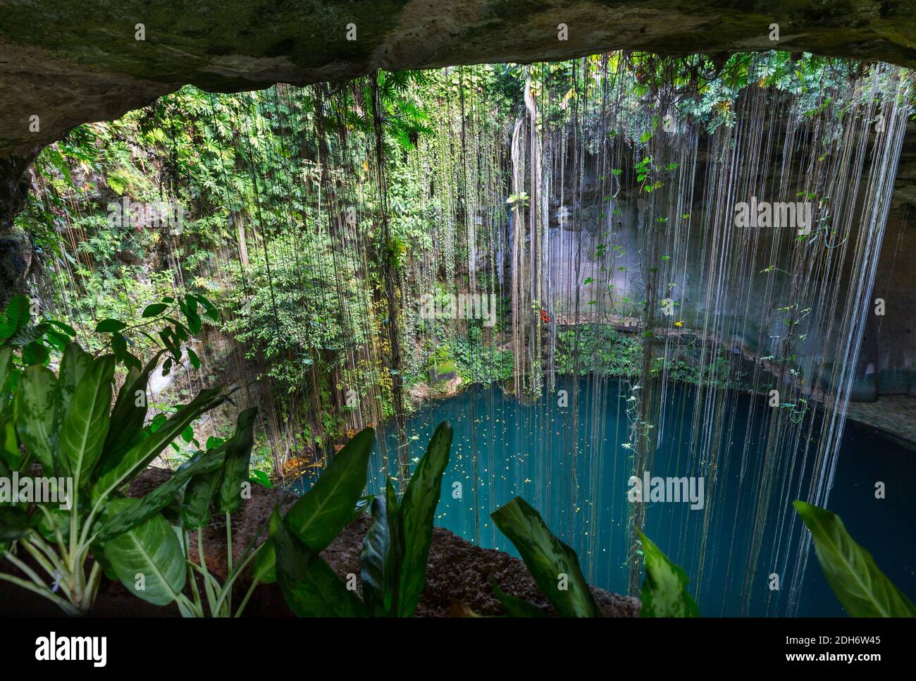 Mexico chichen itza natural water hole hi-res stock photography and ...