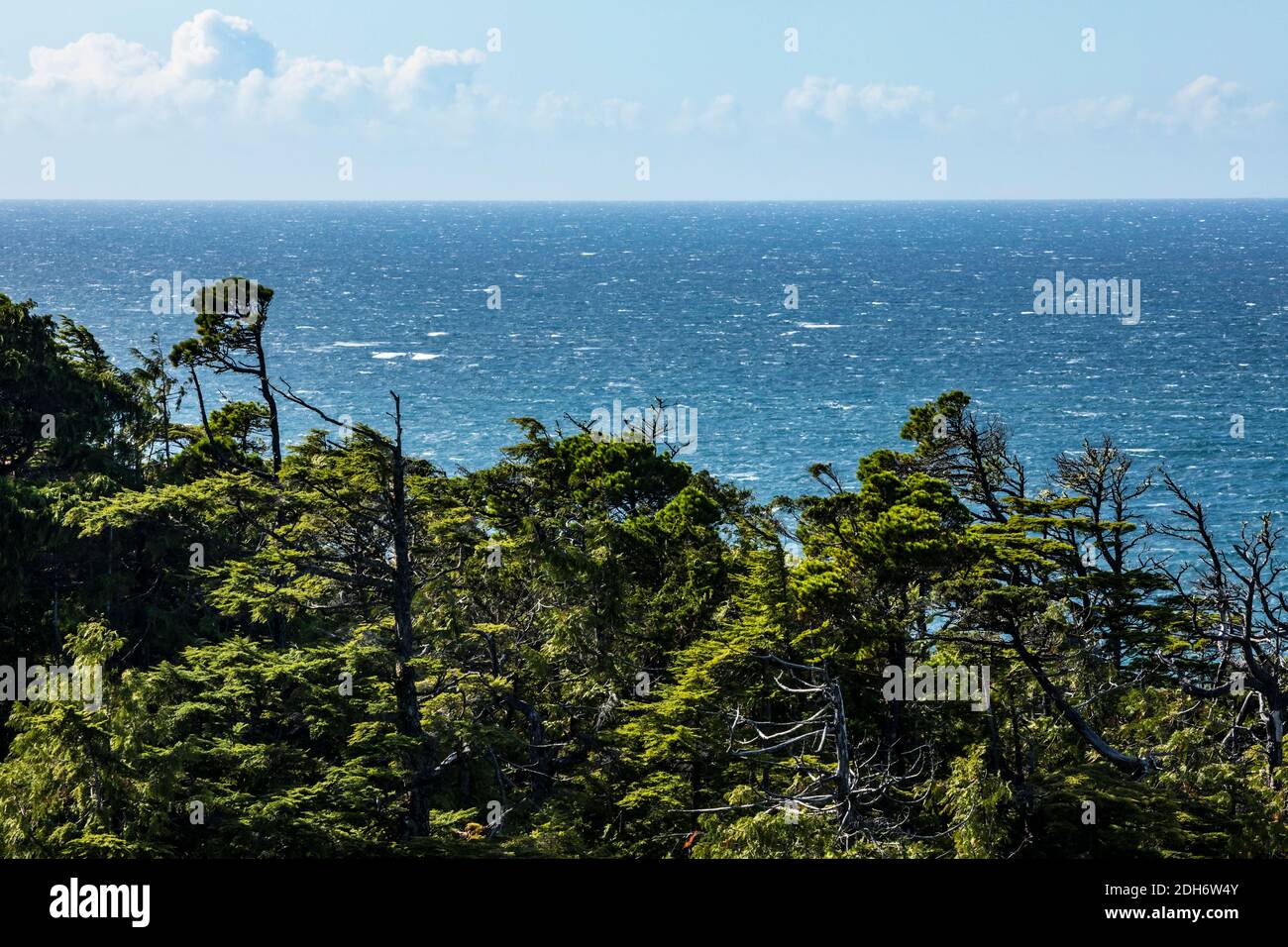 Ocean windy pacific ocean windy hi-res stock photography and images - Alamy