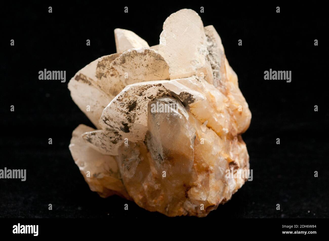 rose butterfly calcite mineral sample Stock Photo - Alamy