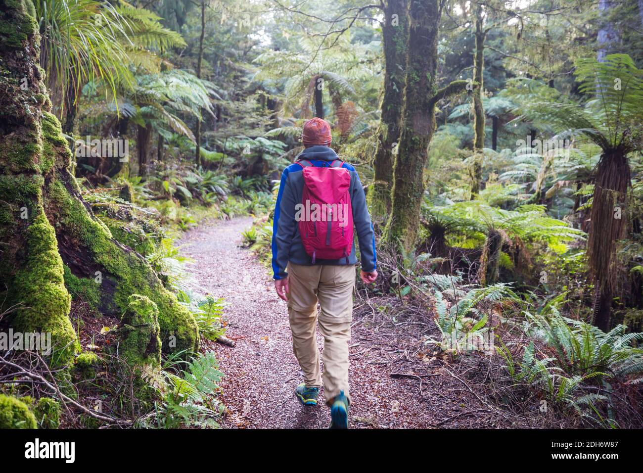 Tramping track hi-res stock photography and images - Alamy