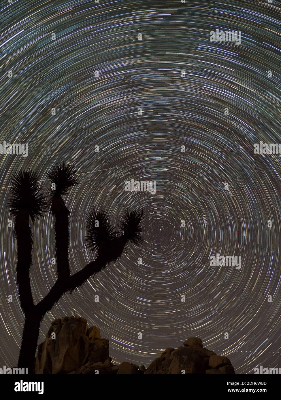 Amazing stars in the night sky at Joshua Tree National Park, California ...