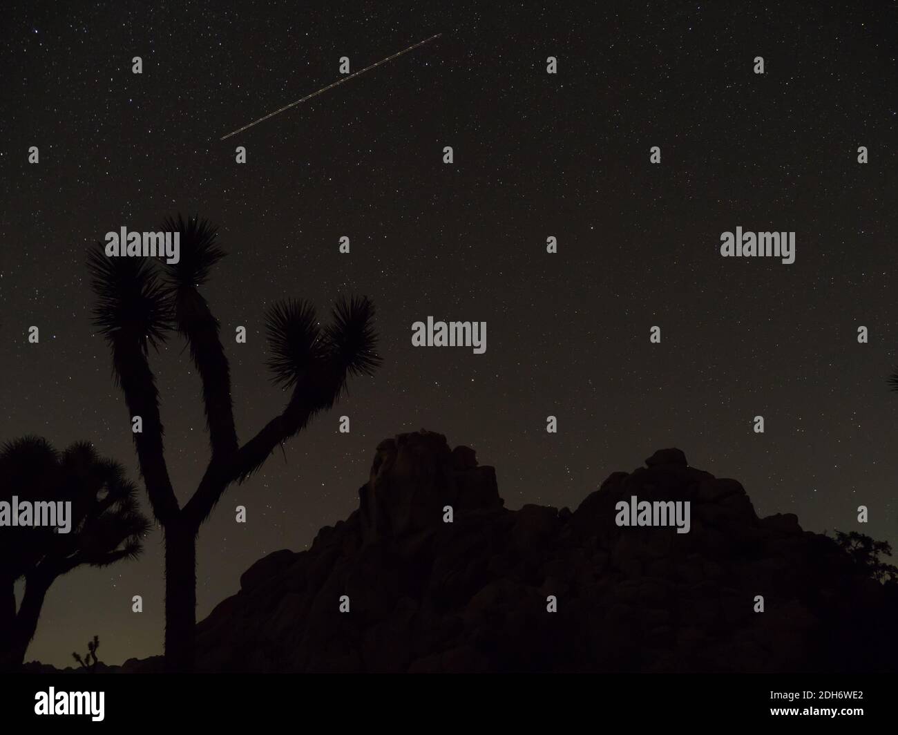 Amazing stars in the night sky at Joshua Tree National Park, California ...