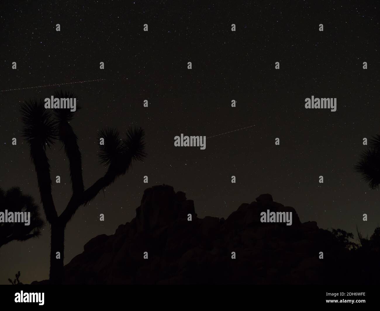 Amazing stars in the night sky at Joshua Tree National Park, California ...