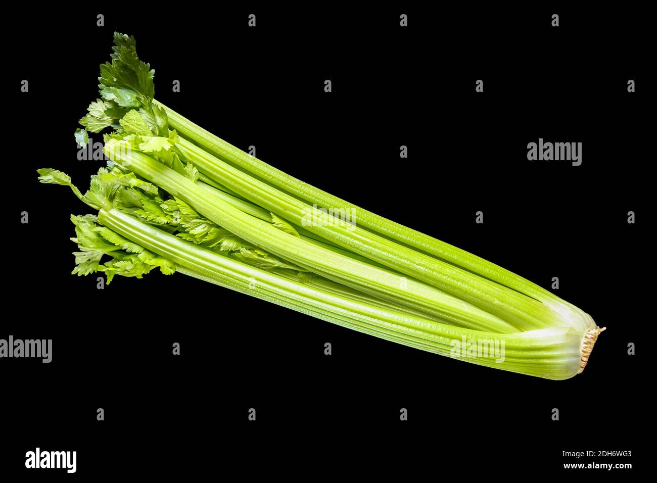 Celery branch bunch on hi-res stock photography and images - Alamy
