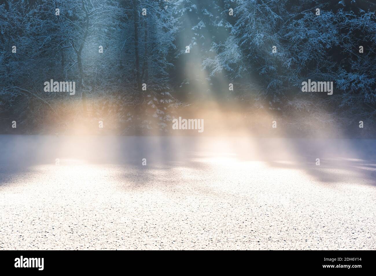 Sun shining through fog hi-res stock photography and images - Alamy