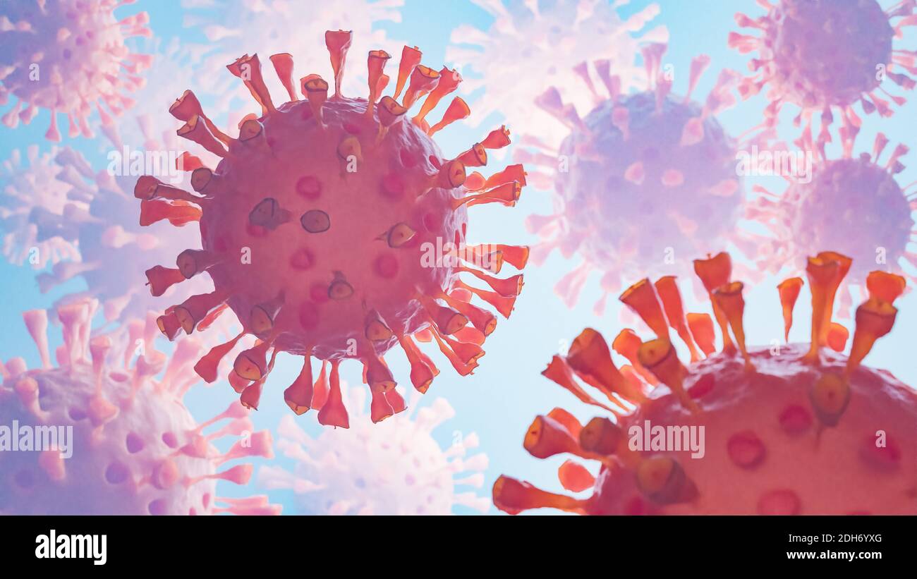 Image of Flu virus cell under the microscope on the blood. Coronavirus ...