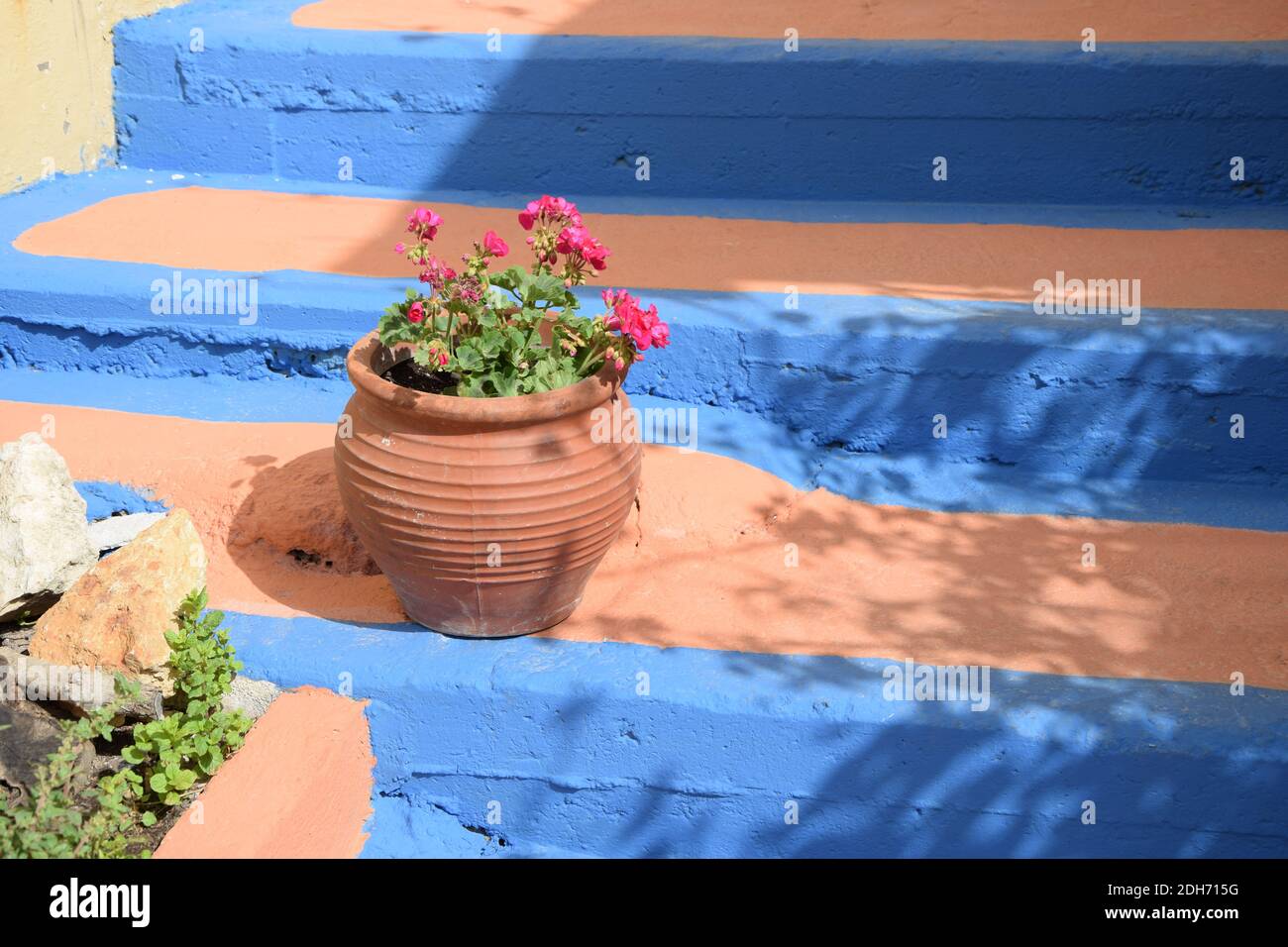 Flowers on a staircase, Crete Stock Photo - Alamy