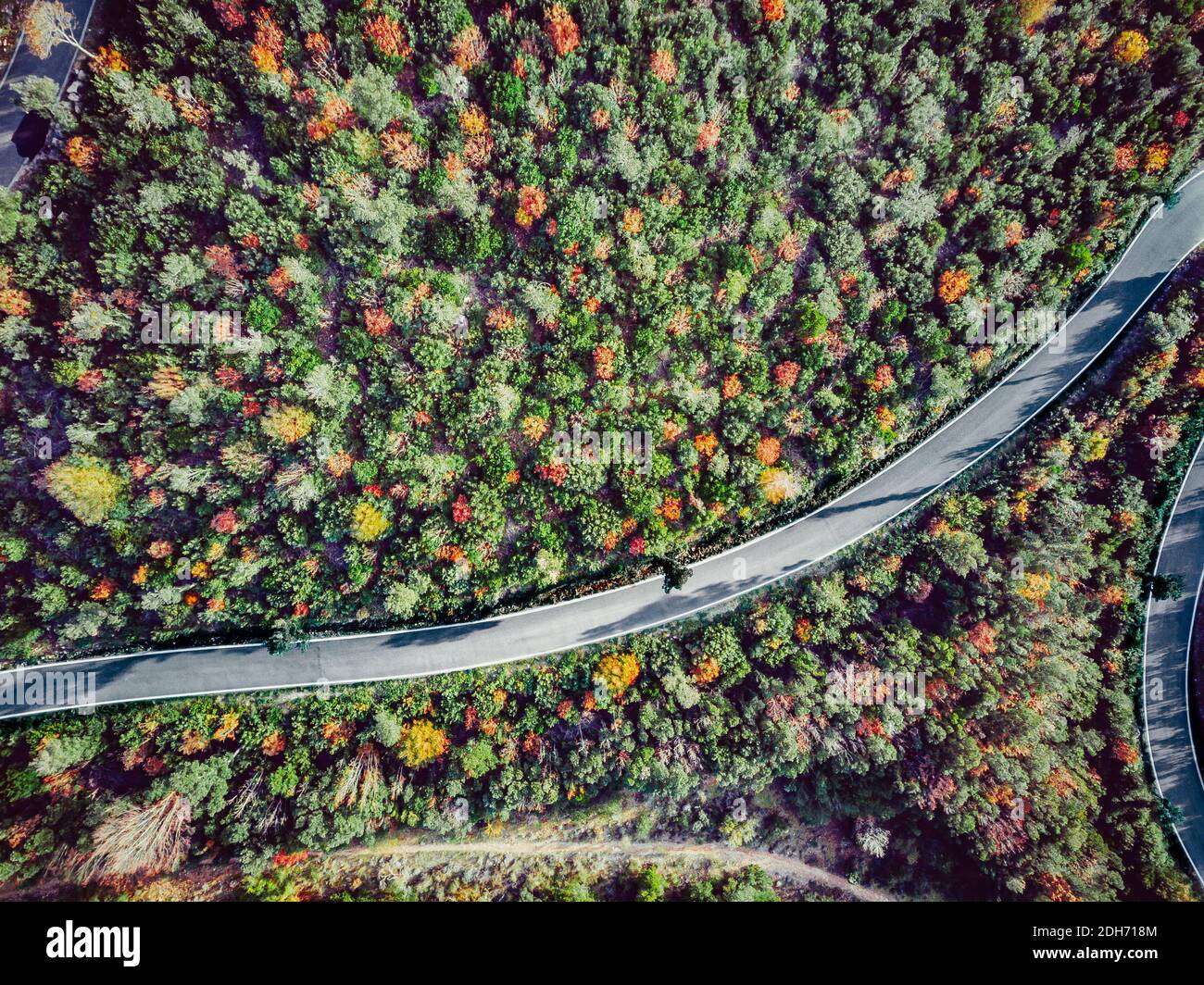 Landscape of isolate street in mountain Stock Photo - Alamy