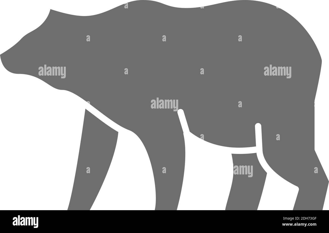 Grizzly bear grey icon. Isolated on white background Stock Vector Image ...