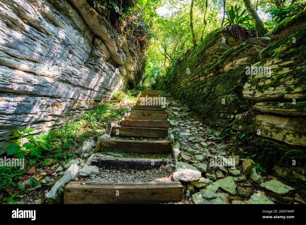 Stone stairs in mysterious forest. Walk path trail for hiking tours ...