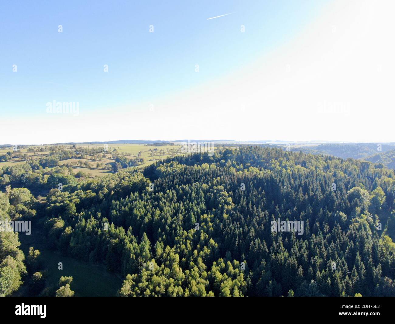 A top view of beautiful high trees in a large forest on hills. Relief ...
