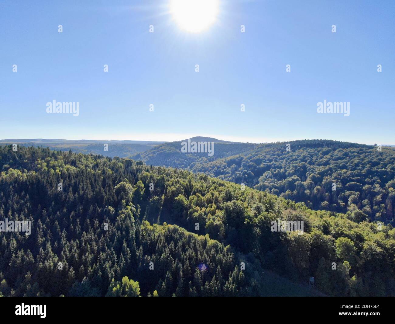A top view of beautiful high trees in a large forest on hills. Relief ...