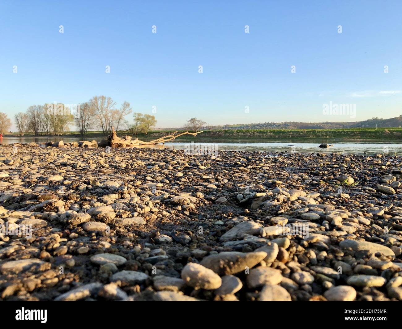 A beautiful shot of a river shore with lots of stones and some trees ...