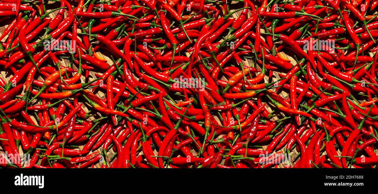 Red cayenne peppers (Capsicum annuum Stock Photo - Alamy