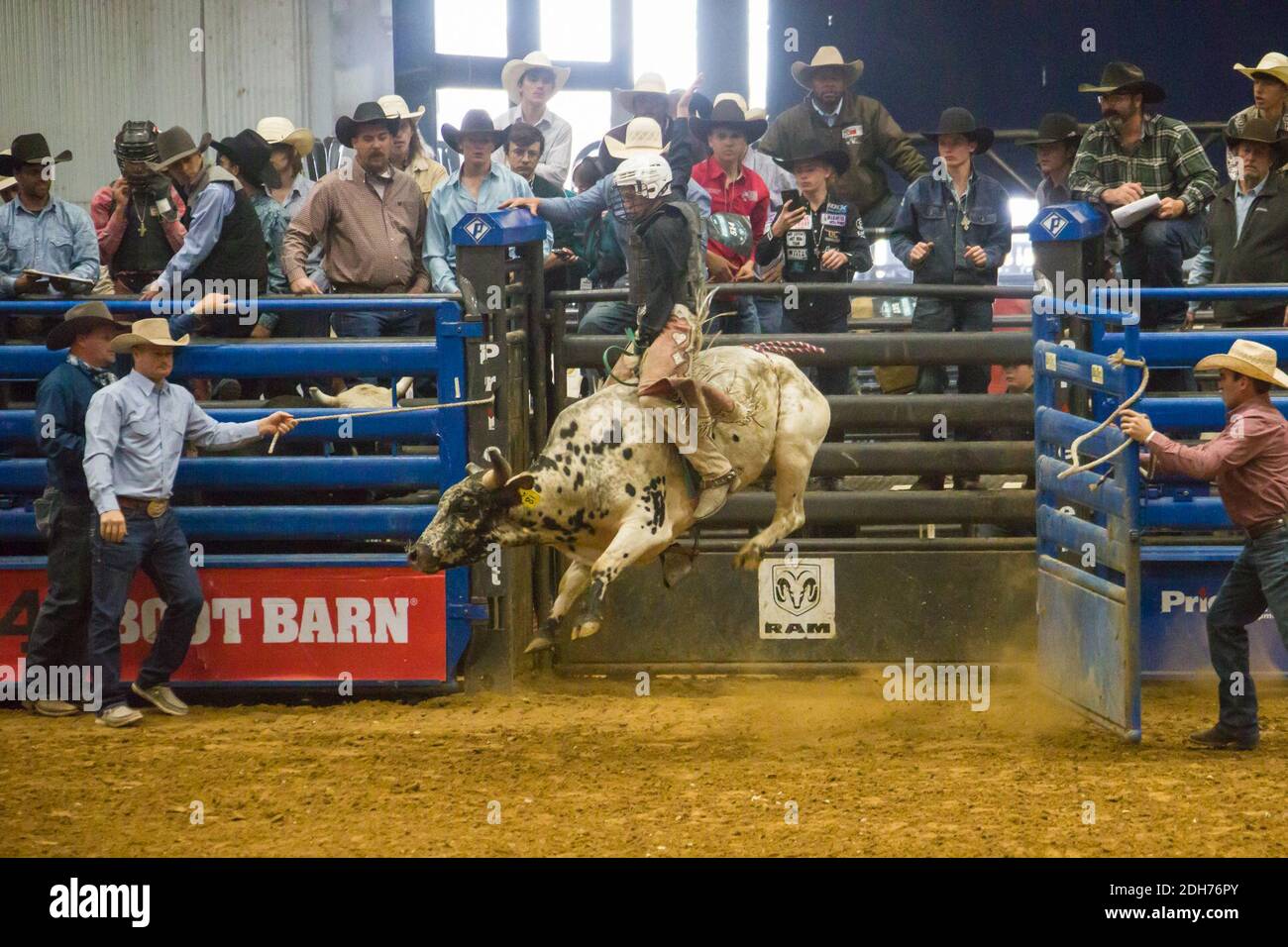 Junior bull rider hi-res stock photography and images - Alamy