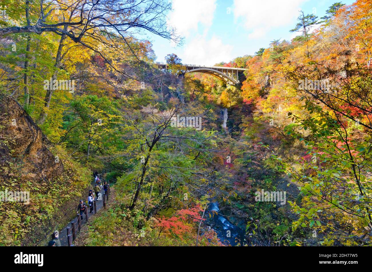 Autumn Colors of Naruko Gorge in Miyagi, Tohoku, Japan Stock Photo - Alamy