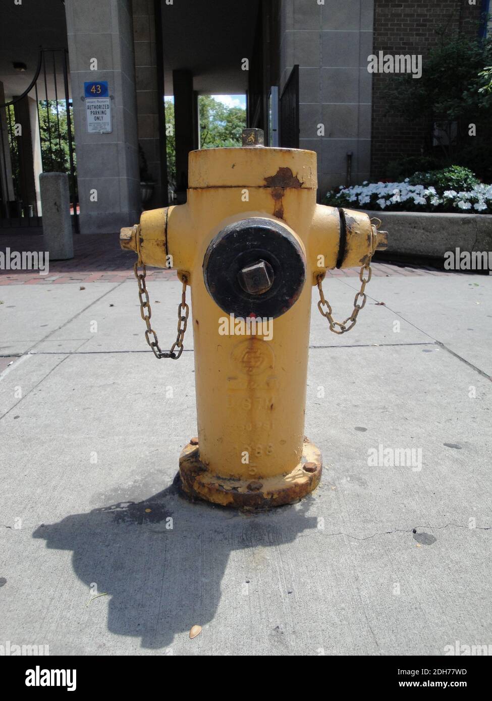 A fire hydrant in Toronto, Canada Stock Photo - Alamy